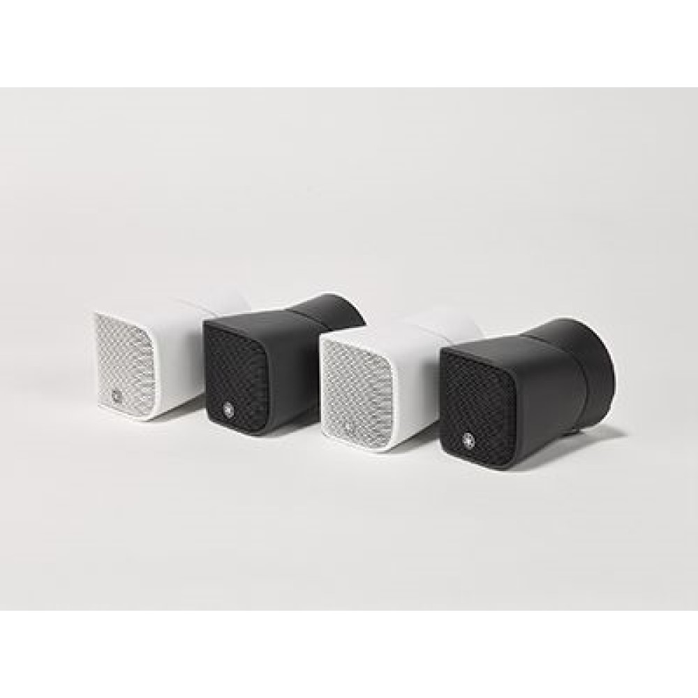 VXS - Model M - Trần Luân Audio
